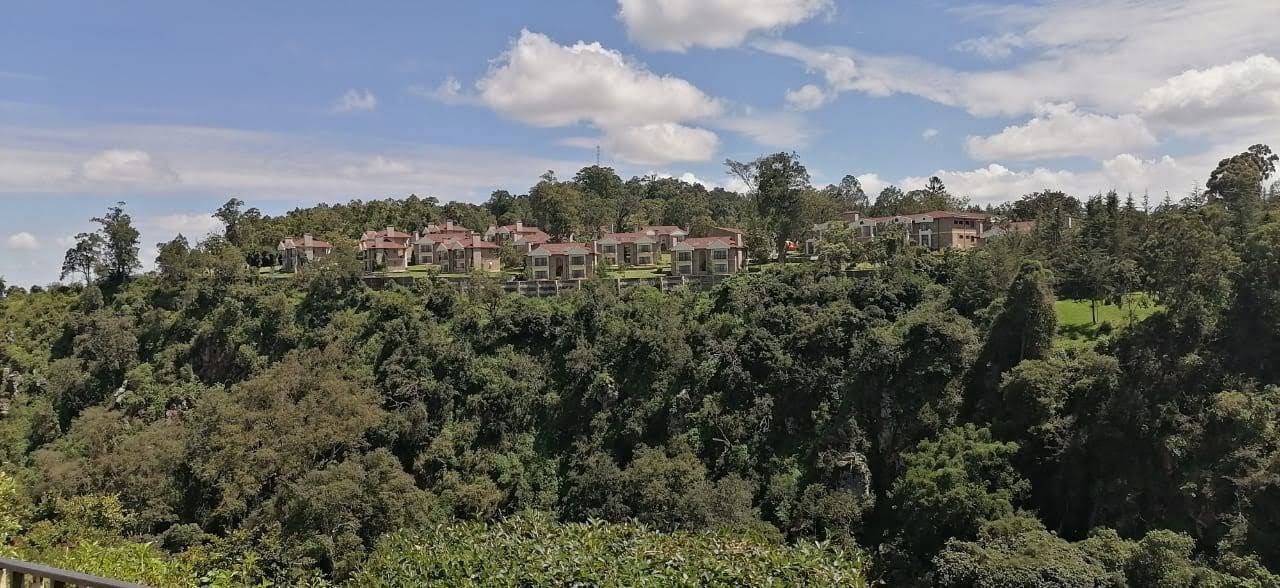 Parco Nazionale Aberdare - Enjoy Collection Tours and Safaris