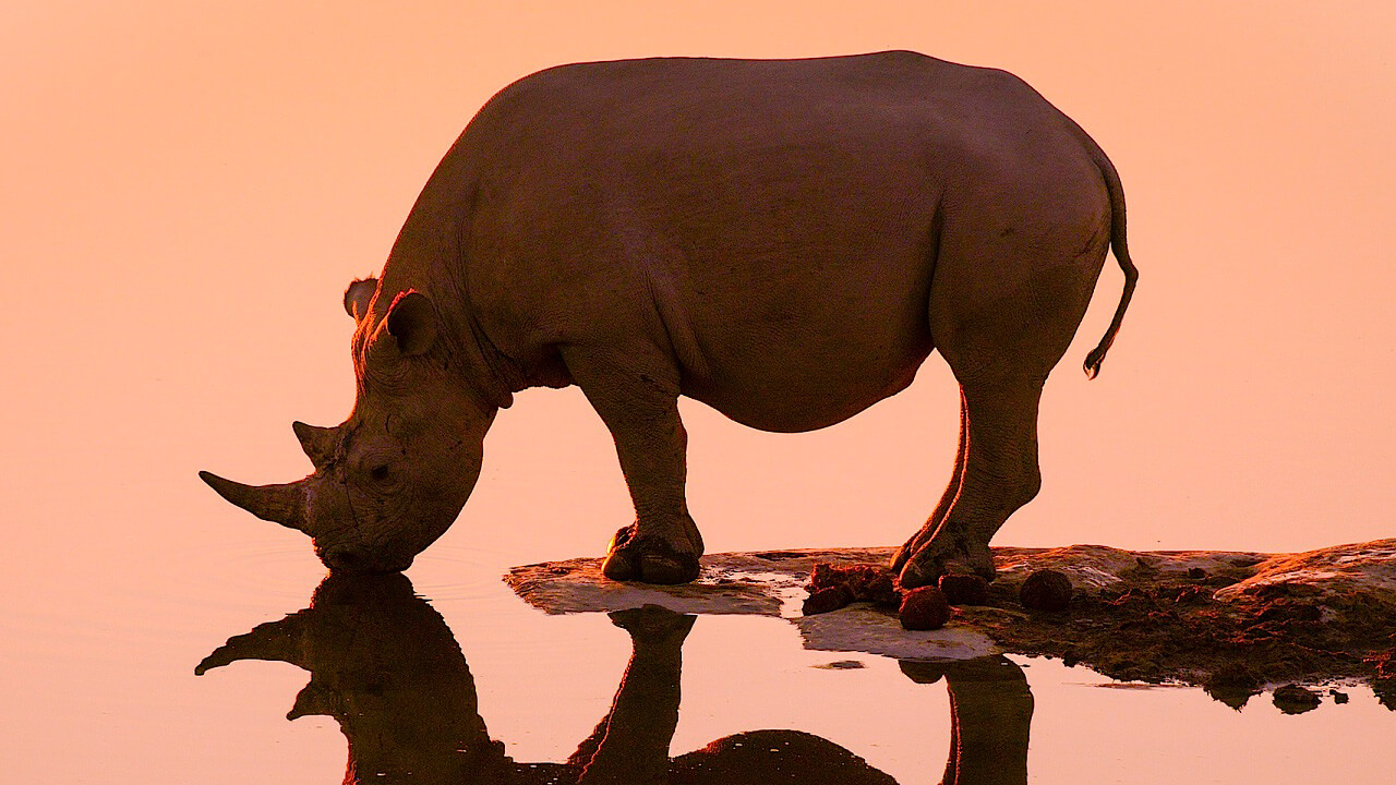 Solio Ranch - Enjoy Collection Tours and Safaris